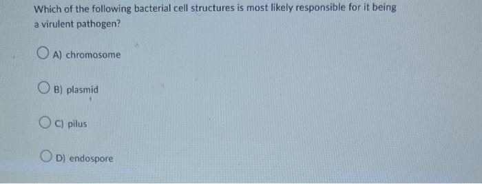 Which of the following bacterial cell structures is | Chegg.com