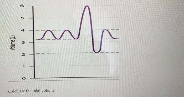 Solved 5 ml N 1 O Calculate the tidal volume | Chegg.com