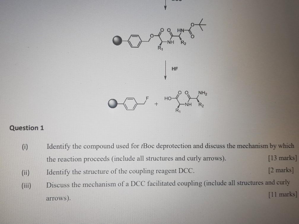 SPPS in Peptide Synthesis In lectures you have met | Chegg.com