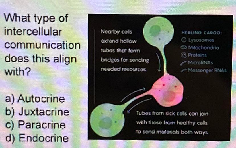 Solved What type of intercellular communication does this | Chegg.com