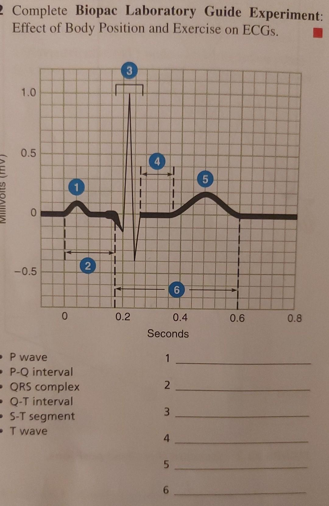 Solved Complete Biopac Laboratory Guide Experiment: Effect | Chegg.com