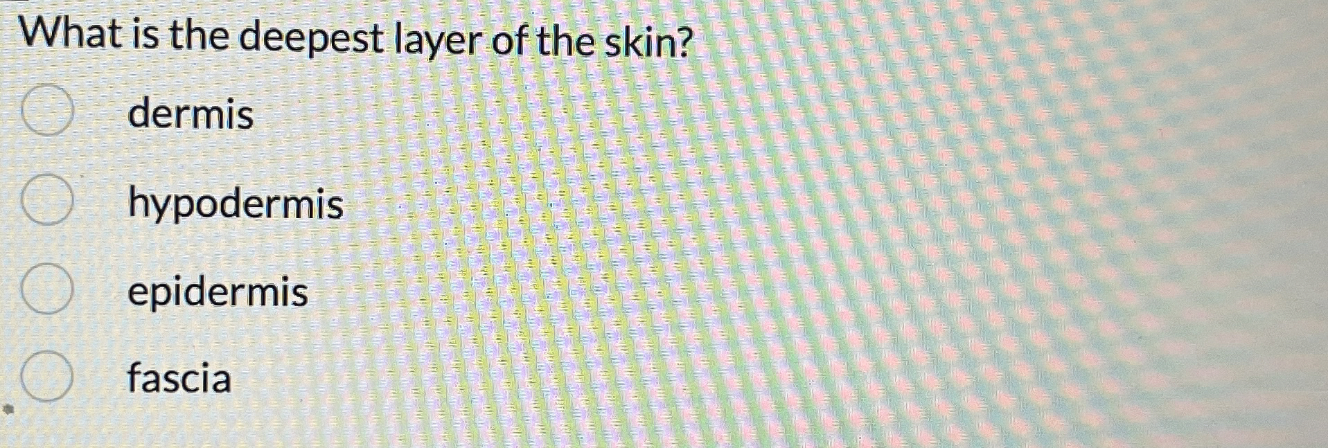 Solved What is the deepest layer of the | Chegg.com