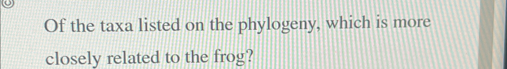 Solved Of the taxa listed on the phylogeny, which is more | Chegg.com