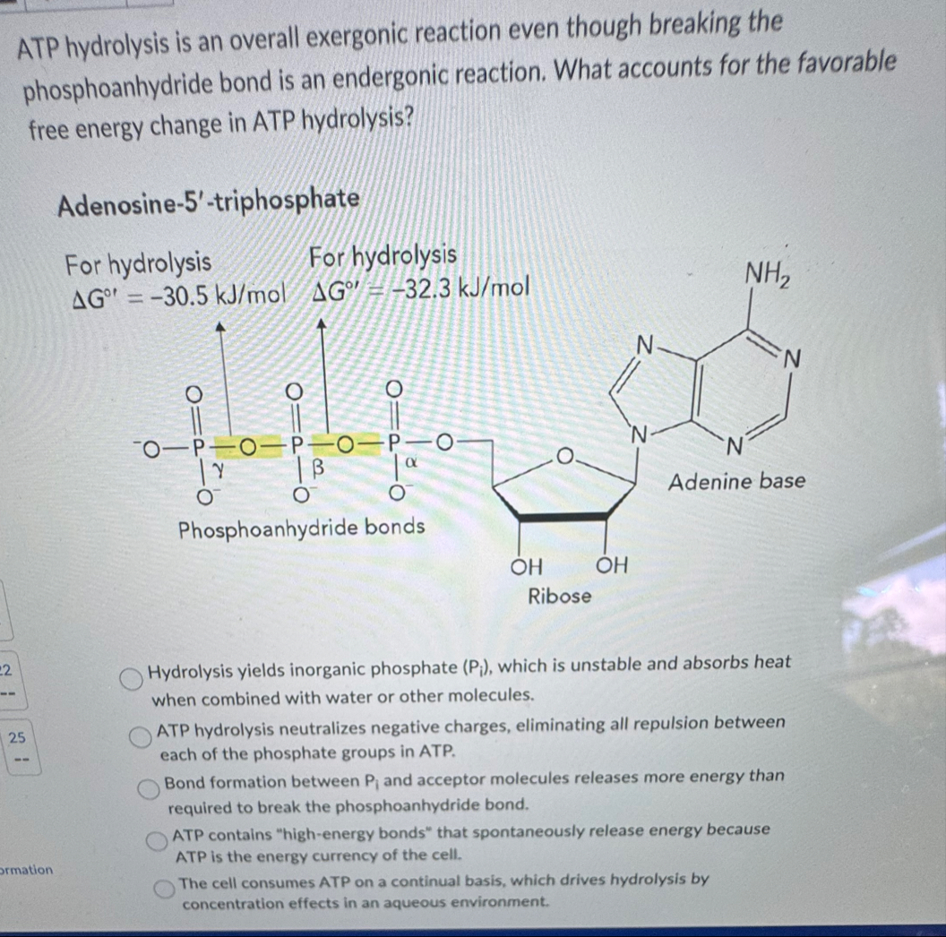 ATP hydrolysis is an overall exergonic reaction even | Chegg.com