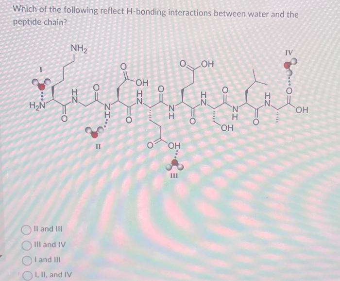 Solved Rank the following species in order of decreasing | Chegg.com