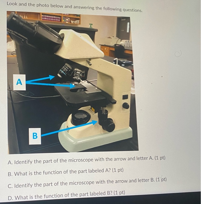 Solved Look and the photo below and answering the following | Chegg.com