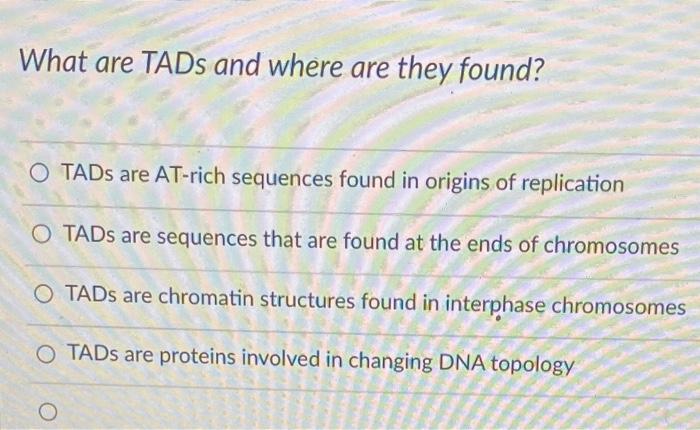 Solved What are TADs and where are they found? O TADs are | Chegg.com