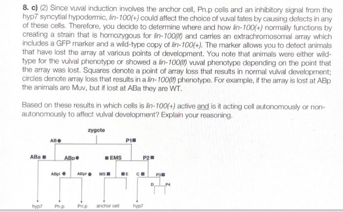 8. c) (2) Since vuval induction involves the anchor | Chegg.com