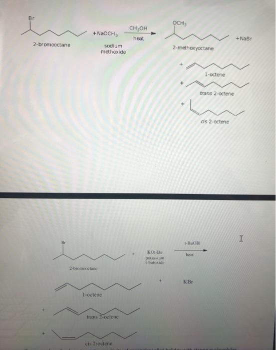 Calculate the mass of the 2-bromooctane starting | Chegg.com