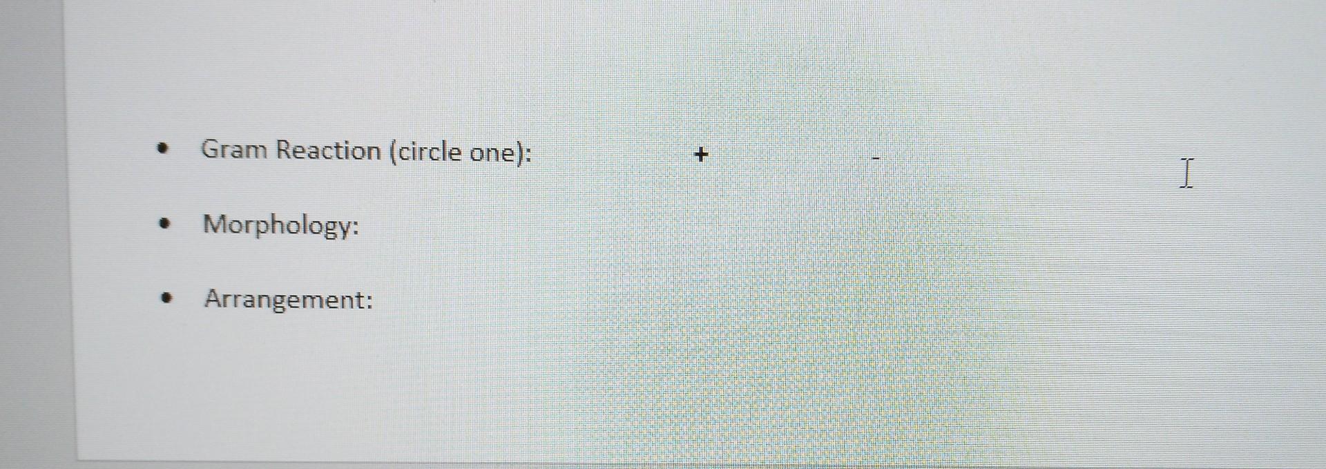- Gram Reaction (circle one): - Morphology: - | Chegg.com