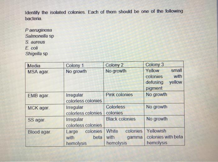 Solved Identify the isolated colonies. Each of them should | Chegg.com