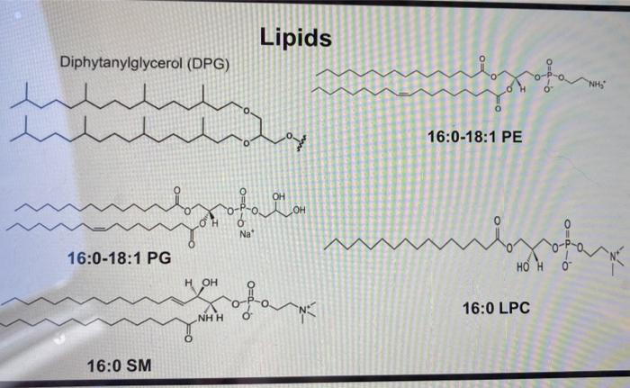 Solved Diphytanylglycerol (DPG) Lipids M NH want 16:0-18:1 | Chegg.com