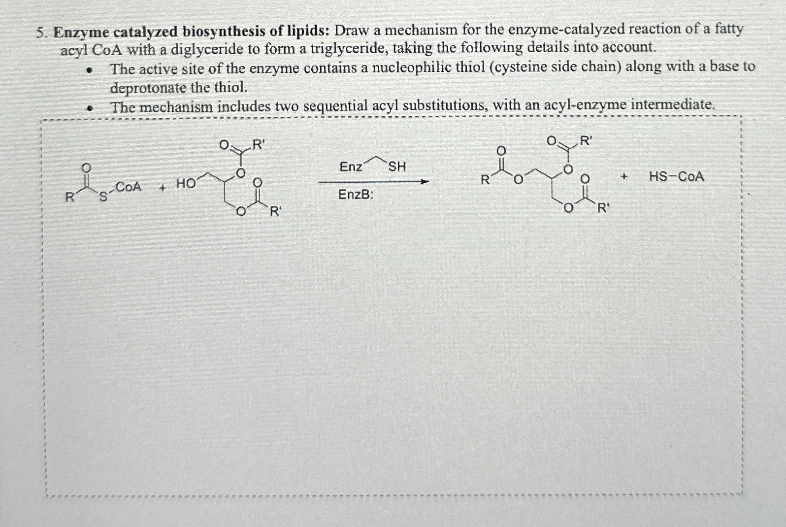 Enzyme catalyzed biosynthesis of lipids: Draw a | Chegg.com