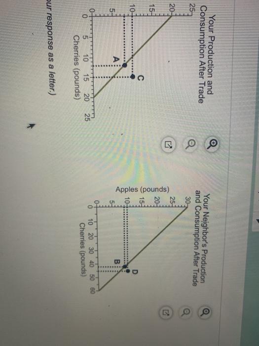 Solved Your Production and Consumption After Trade Your | Chegg.com