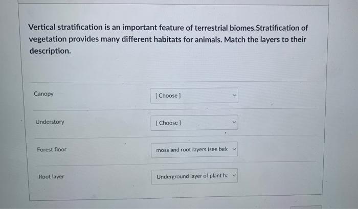 Solved Vertical stratification is an important feature of | Chegg.com