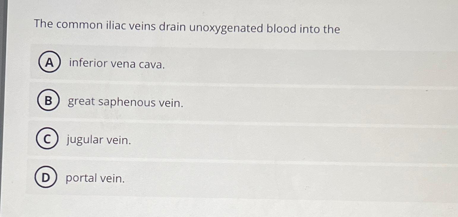 Solved The common iliac veins drain unoxygenated blood into | Chegg.com