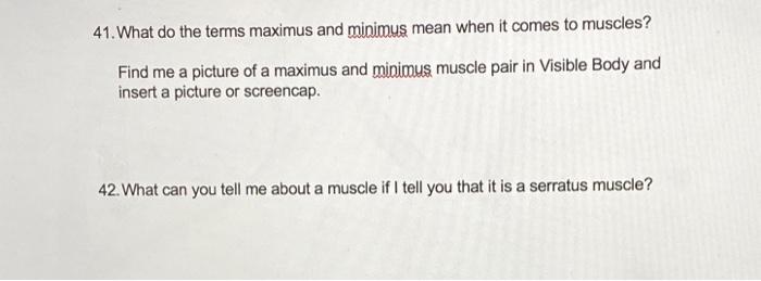 Solved 41. What do the terms maximus and minimus mean when | Chegg.com