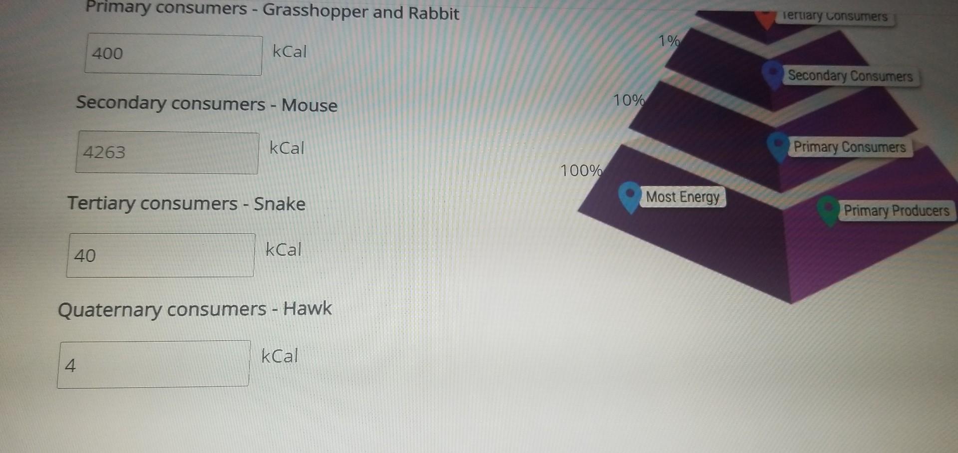 Solved Let's apply the 10% rule to your ecosystem. Assume | Chegg.com