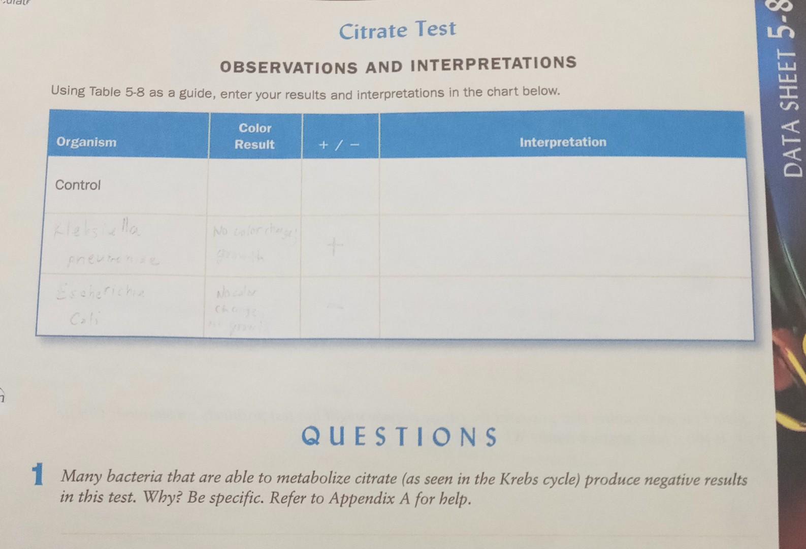 Solved OBSERVATIONS AND INTERPRETATIONS Using Table 5-8 as a | Chegg.com