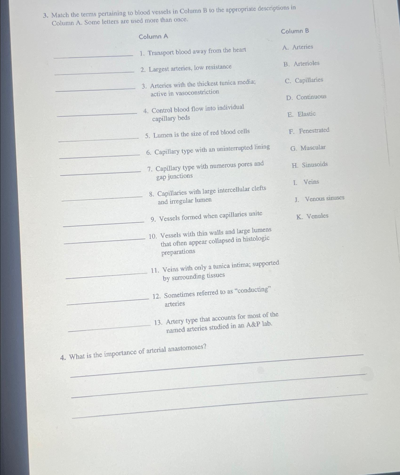 Solved Match the terms pertaining to blood vessels in Column | Chegg.com
