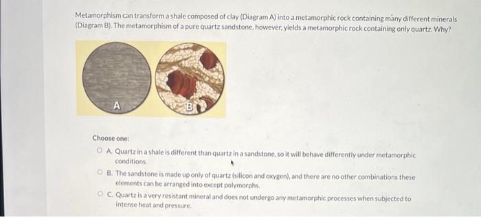 Solved Metamorphism can transform a shale composed of clay | Chegg.com