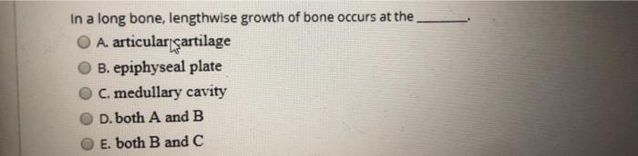 Solved In a long bone, lengthwise growth of bone occurs at | Chegg.com