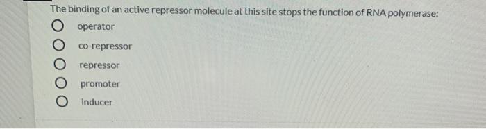 Solved The binding of an active repressor molecule at this | Chegg.com