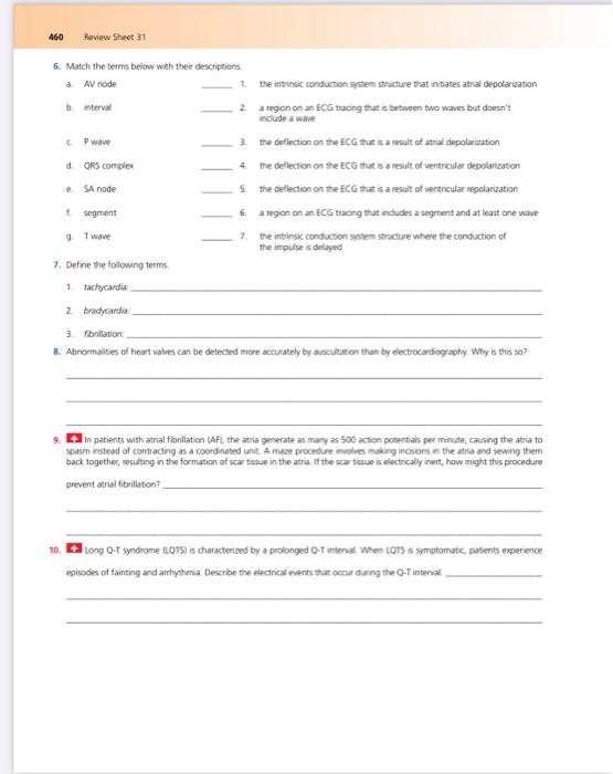 Solved REVIEW SHEET Instructors may assign a portion of the | Chegg.com