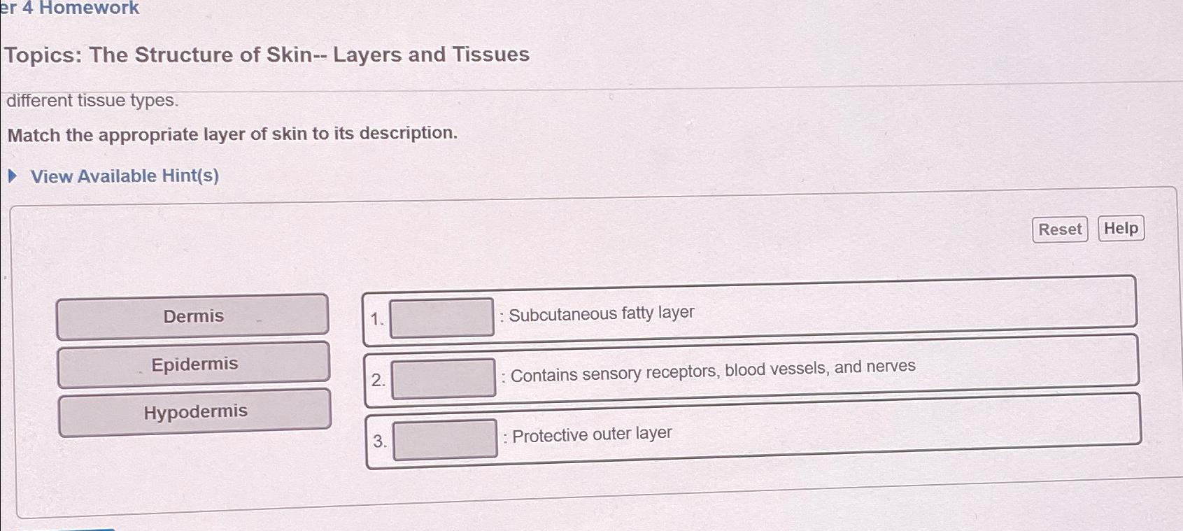 Solved 4 ﻿HomeworkTopics: The Structure of Skin-- ﻿Layers | Chegg.com