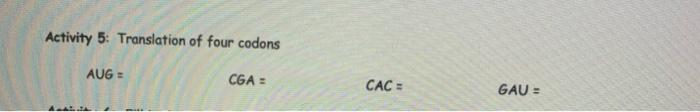 Solved Activity 5: Translate the codons AUG CGA CAC GAU into | Chegg.com
