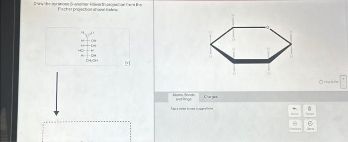 Solved Draw tge pyranose Beta anomer Haworth projection from | Chegg.com