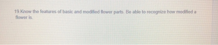 Solved 19. Know the features of basic and modified flower | Chegg.com