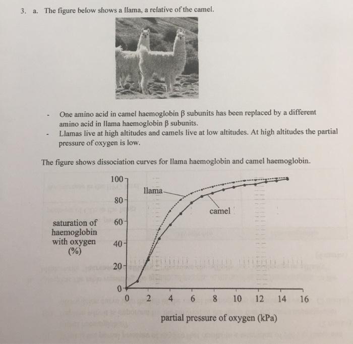 Solved 3. a. The figure below shows a llama, a relative of | Chegg.com