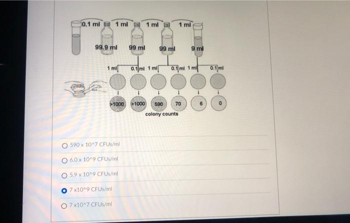 Solved 0.1 ml 1 ml 1 ml 1 ml 99.9 ml 99 ml 99 ml 9 ml 1 mil | Chegg.com