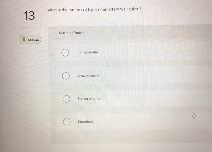 Solved What is the innermost layer of an artery wall called? | Chegg.com