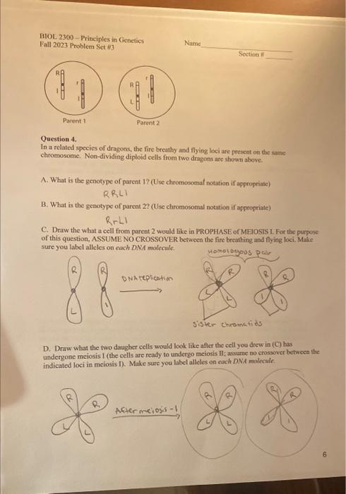 BIOL 2300 - Principles in Genetics Fall 2023 Problem | Chegg.com