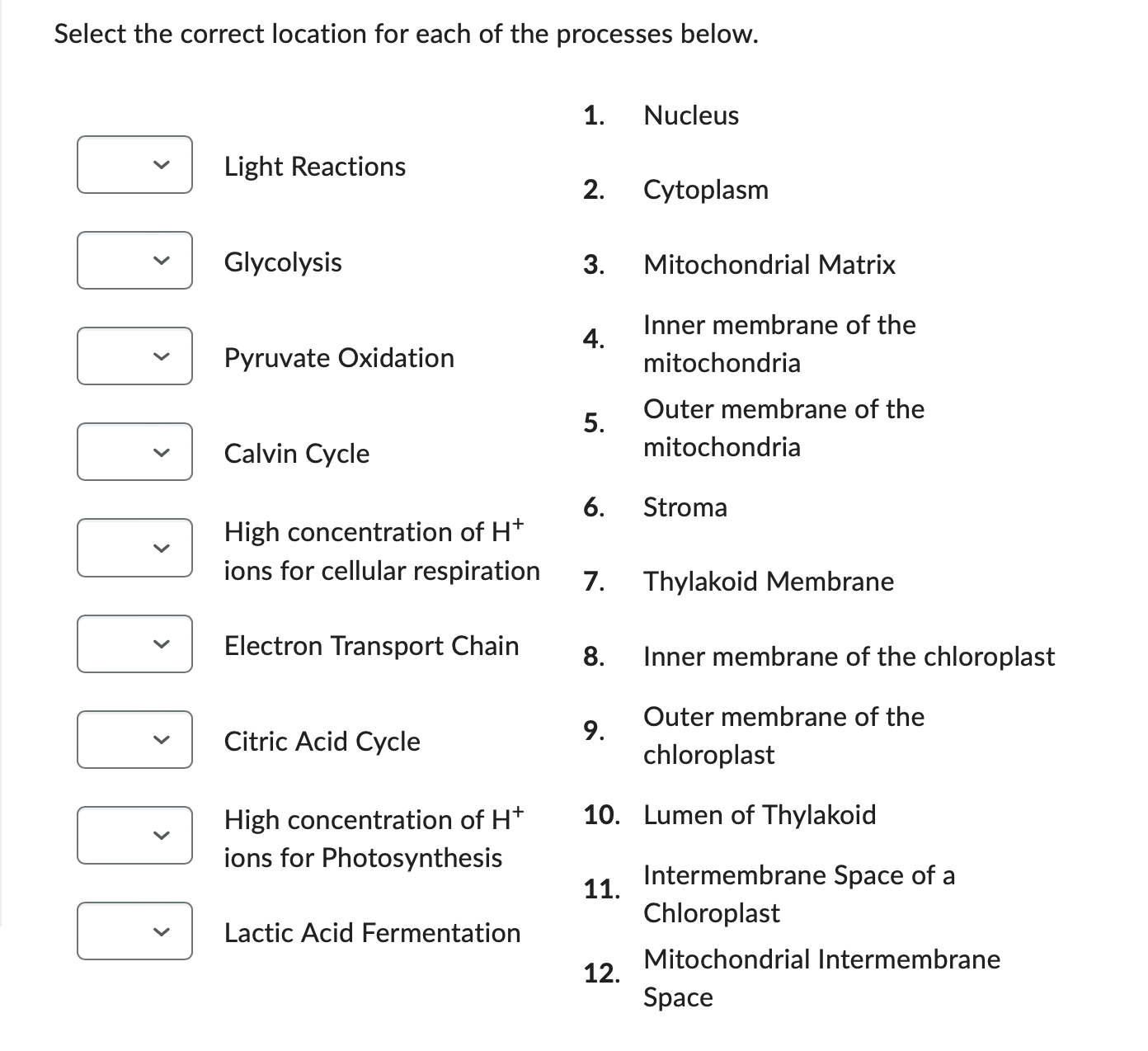 Solved Select the correct location for each of the processes | Chegg.com