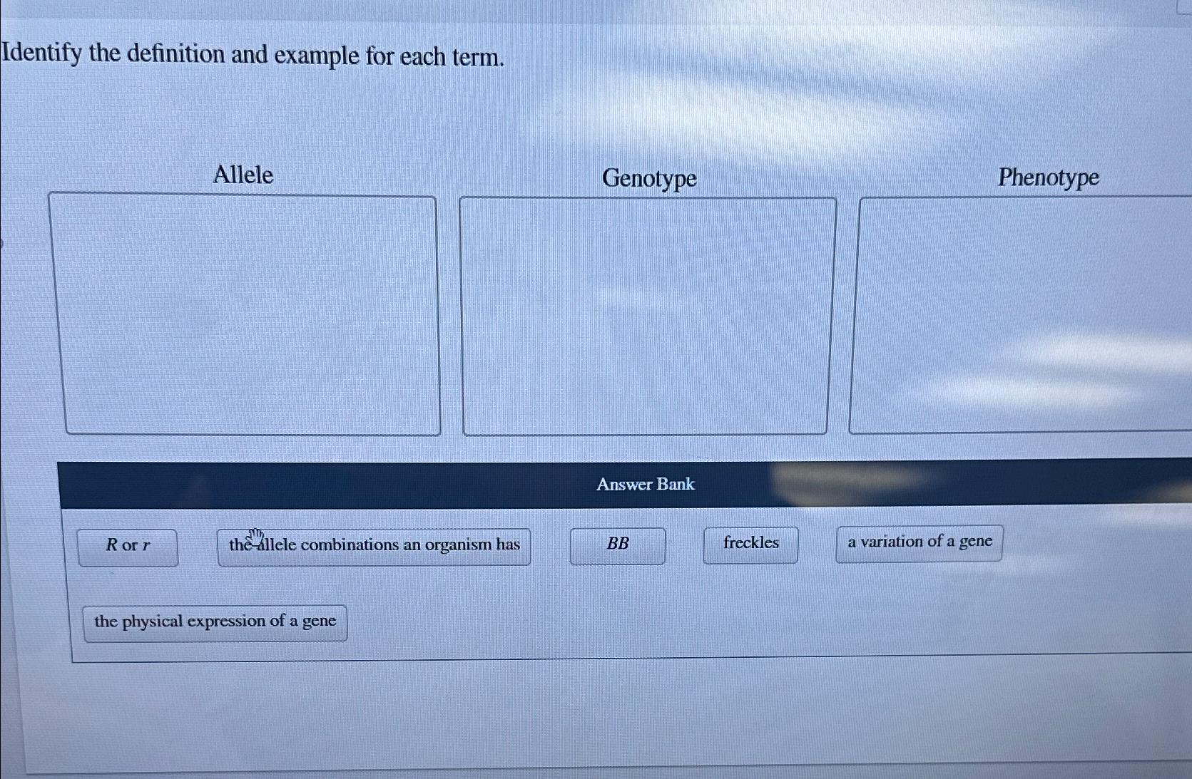 Solved Identify the definition and example for each | Chegg.com