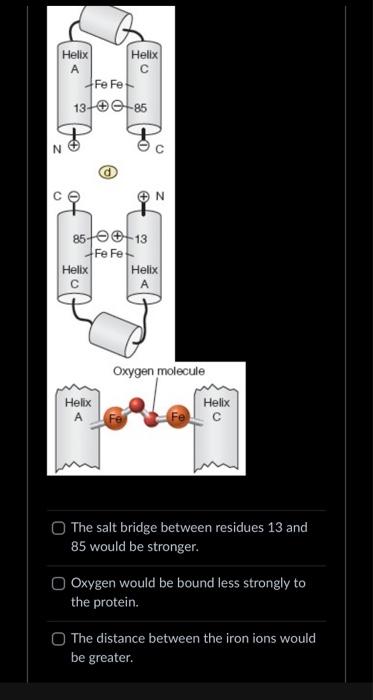 Solved Assume that a new oxygen-transport protein has been | Chegg.com