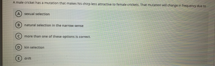 Solved A male cricket has a mutation that makes his chirp | Chegg.com
