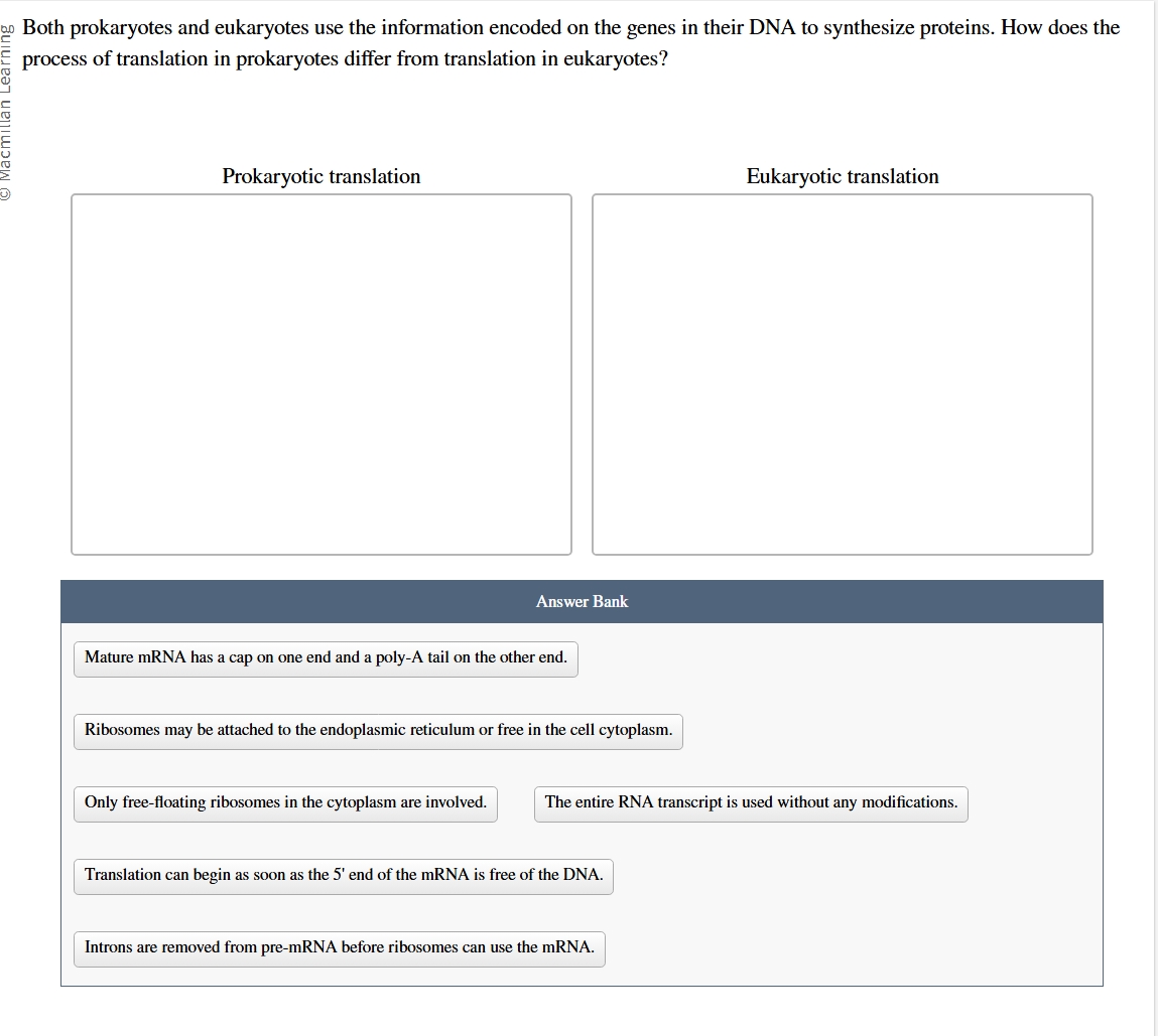 Solved Both prokaryotes and eukaryotes use the information | Chegg.com