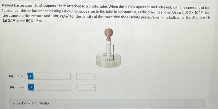Solved A meat baster consists of a squeeze bulb attached to | Chegg.com