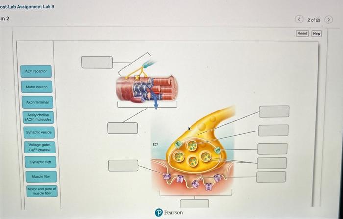 Solved ost-Lab Assignment Lab 9 | Chegg.com Solved ost-Lab Assignment Lab 9 | Chegg.com