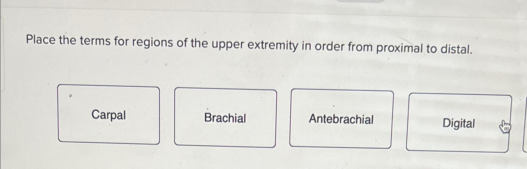 Solved Place the terms for regions of the upper extremity in | Chegg.com