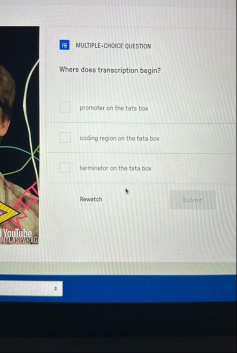 Solved MULTIPLE-CHOICE QUESTIONWhere does transcription | Chegg.com