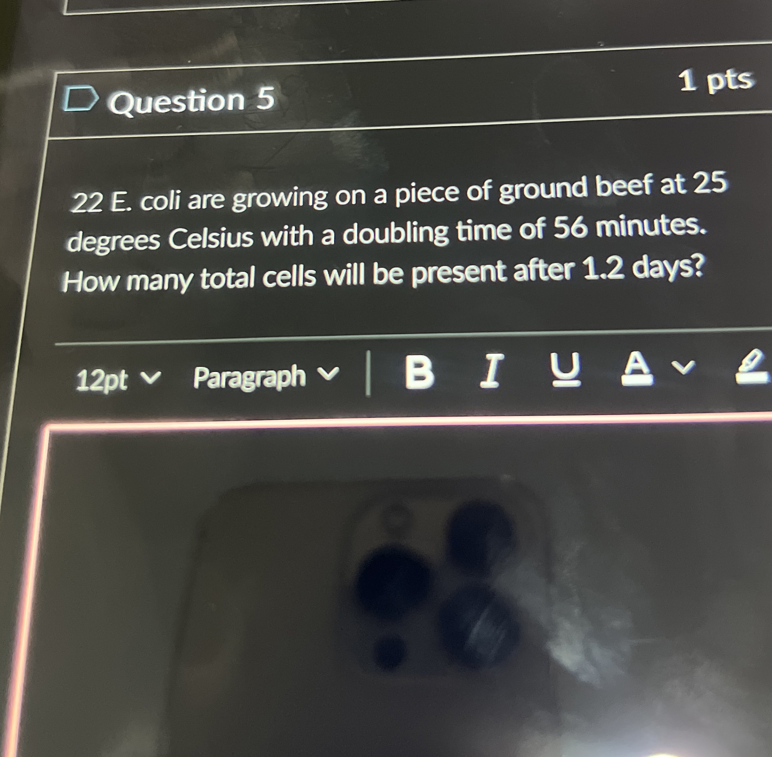 Solved Question 51 ﻿pts22 ﻿E. ﻿coli are growing on a piece | Chegg.com