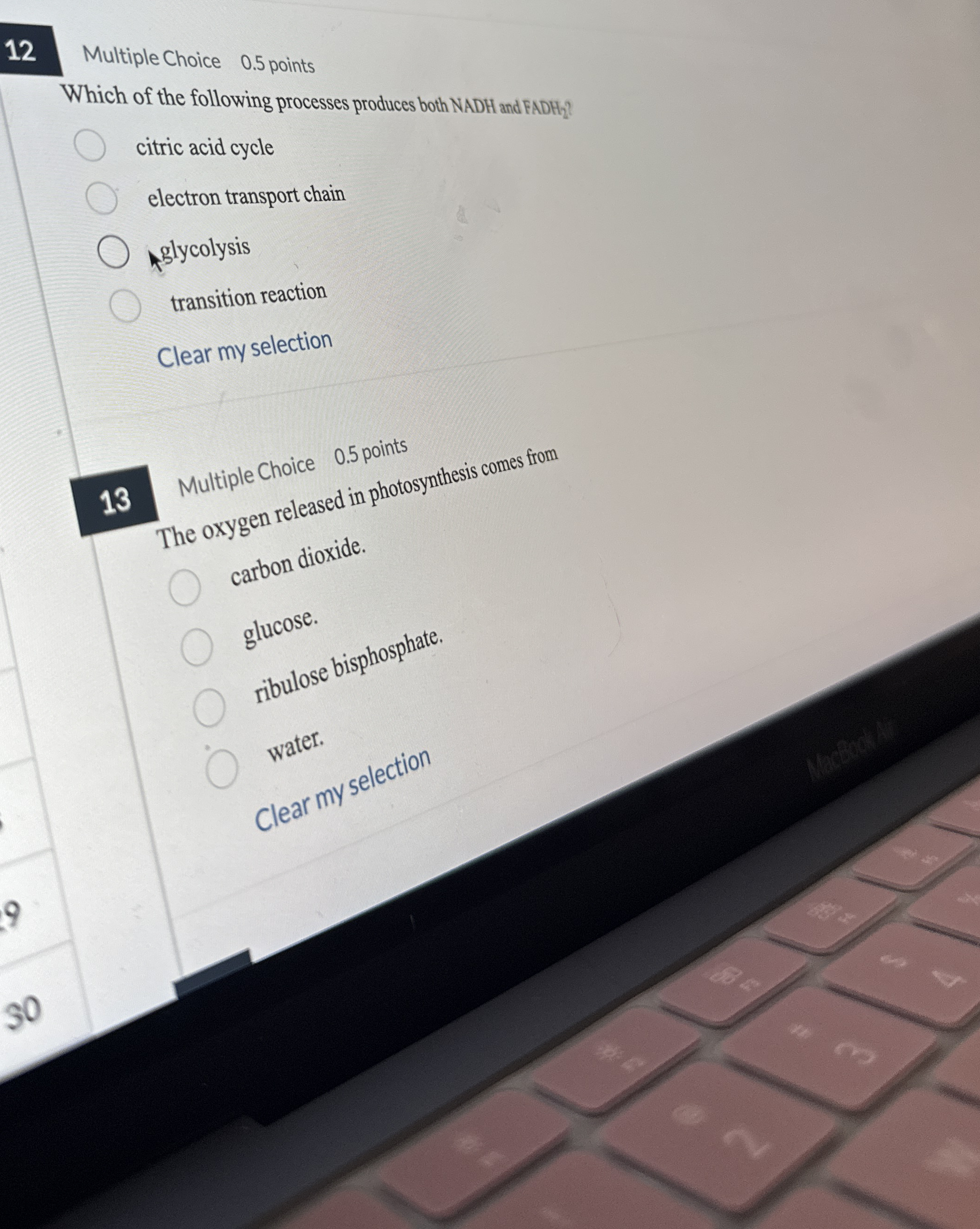 Solved 12Multiple Choice 0.5 ﻿pointsWhich of the following | Chegg.com