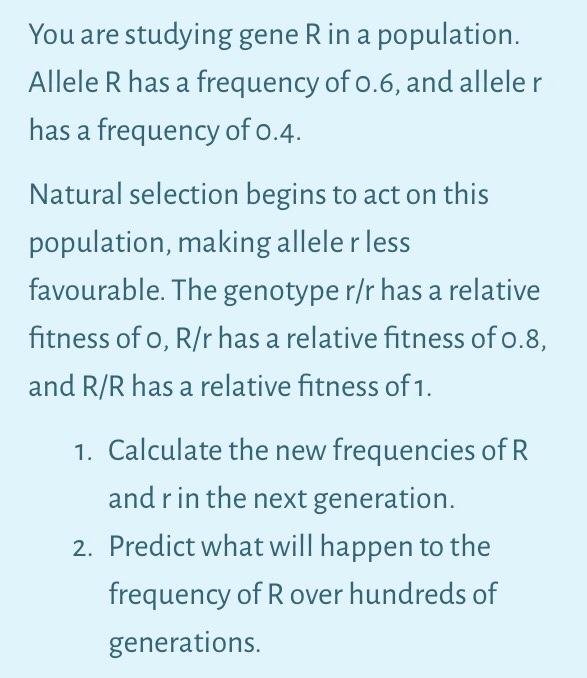 Solved You are studying gene Rin a population. Allele R has | Chegg.com