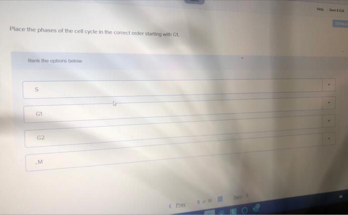 Solved Place the phases of the cell cycle in the correct | Chegg.com