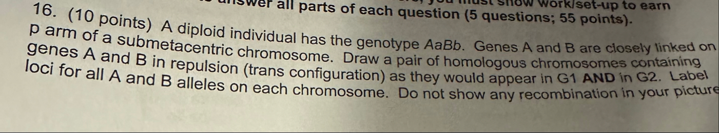 [Solved]: (10 points) A diploid individual has the genotyp